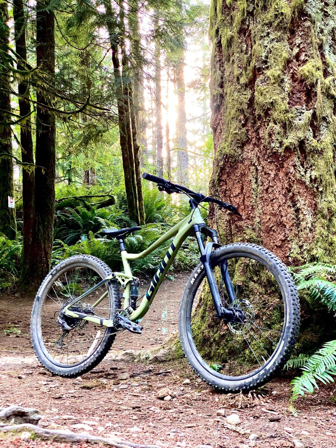 Glyncorrwg Mountain Bike Centre and Campsite – Mountain Bike Centre ...